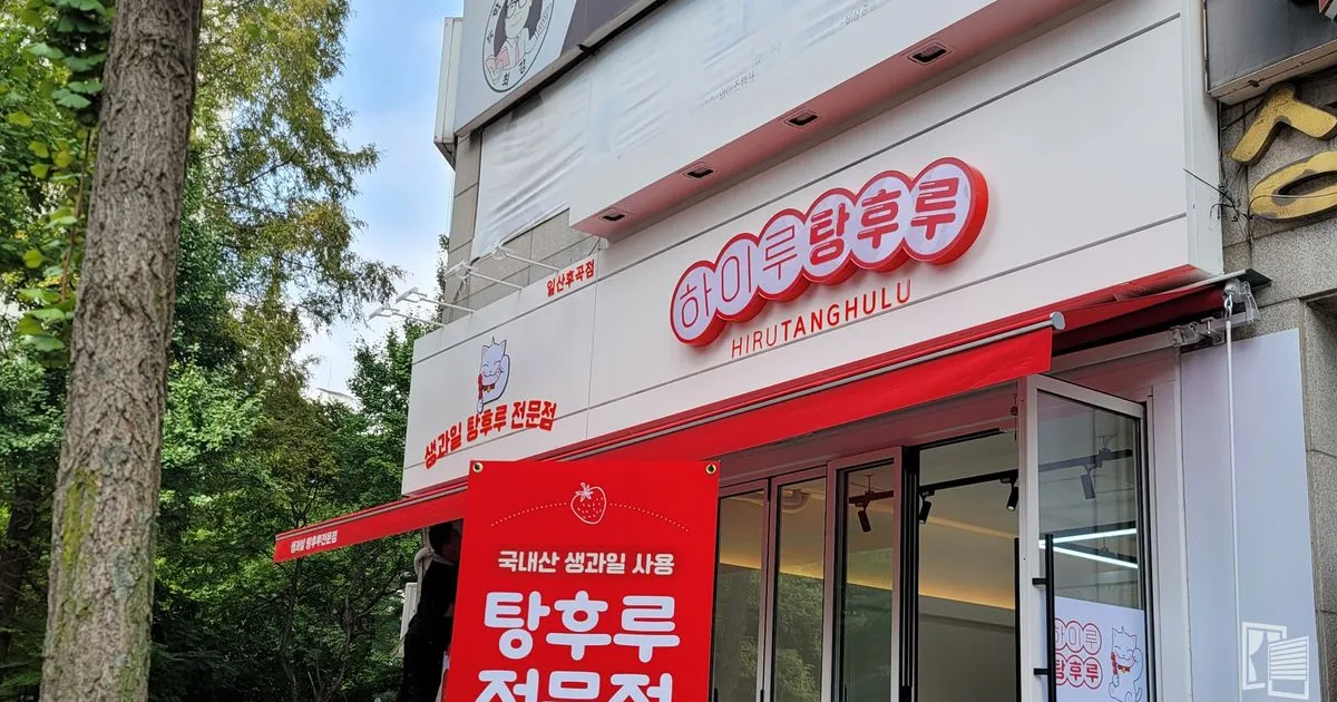 경기도 일산 어닝 식욕을 자극하는 컬러의 어닝 설치 이상민 커튼and블라인드 숨고 숨은고수