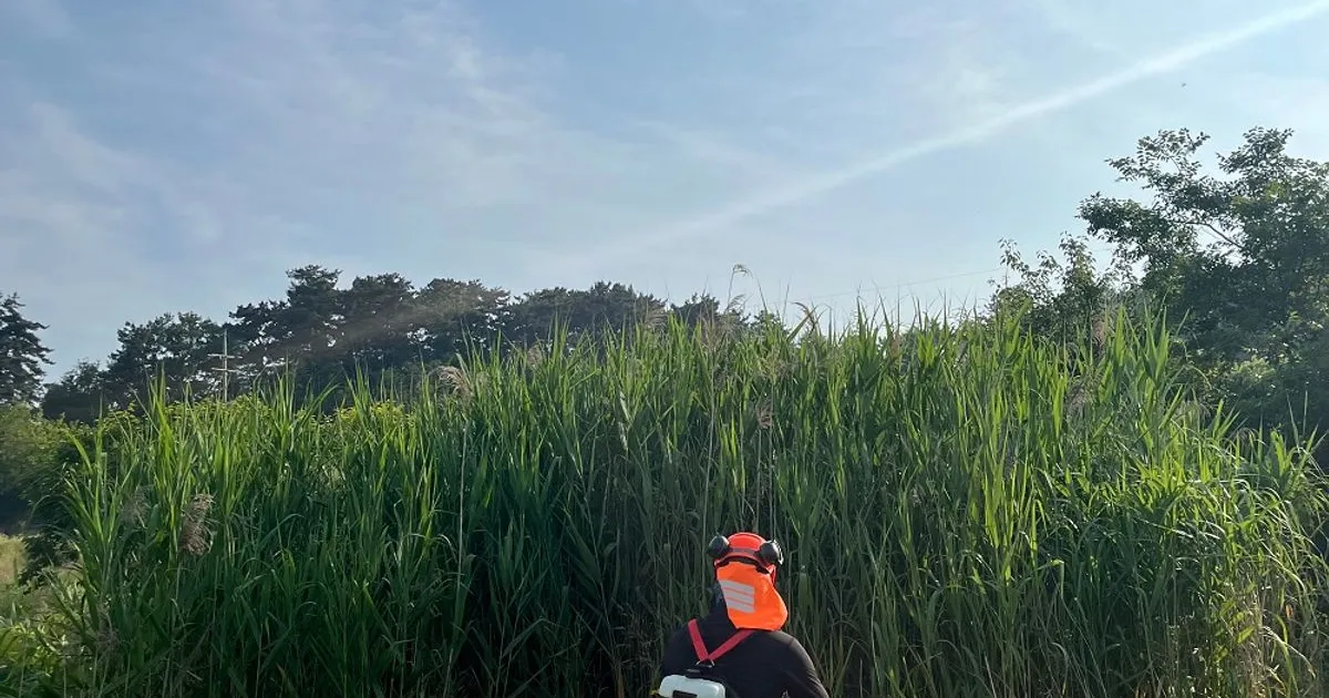 군산 작업다녀왔습니다 원스톱 벌초 숨고 숨은고수