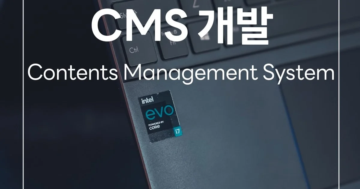 Cms 개발 씨아이랩스 숨고 숨은고수