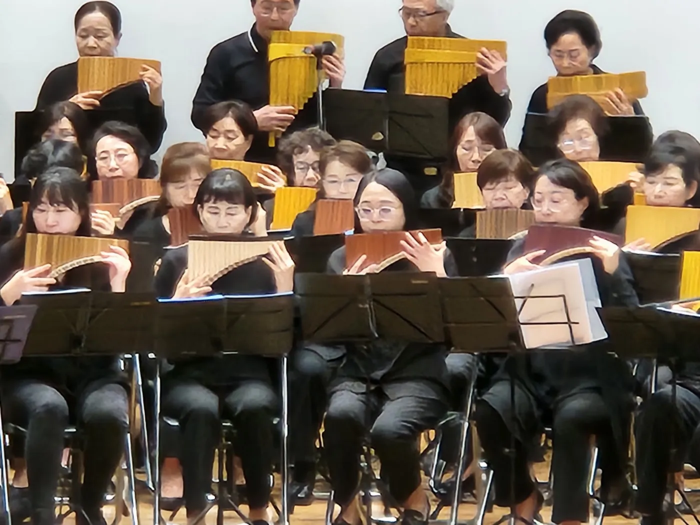 생활음악활성화 박보경 숨고 숨은고수