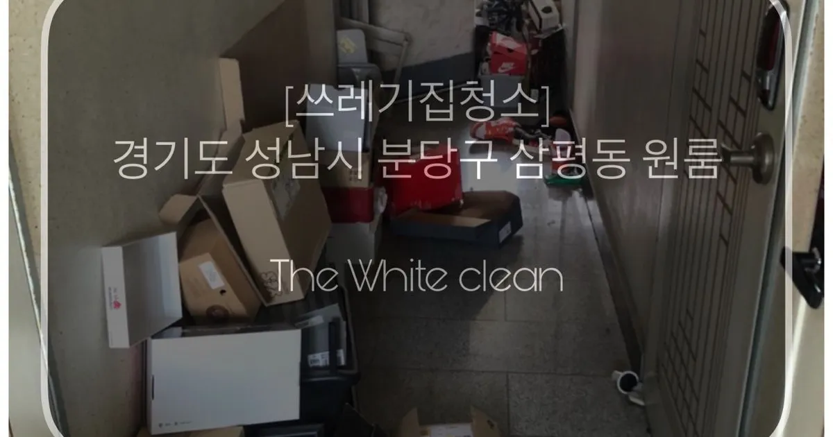 경기도 성남시 분당구 삼평동 원룸 쓰레기집청소 더 화이트 The White 숨고 숨은고수