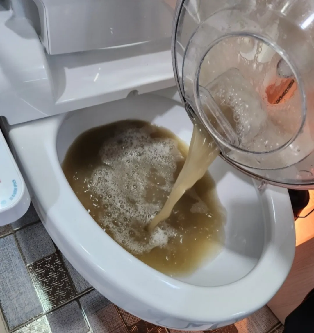 카페트 케어 비치움행복점 숨고 숨은고수