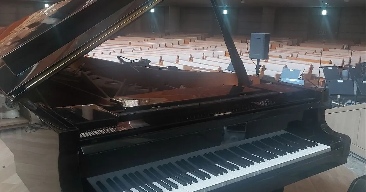 피아노청소부터 조정 조율정음작 소비자분이만족할수있도록함 이호용 숨고 숨은고수