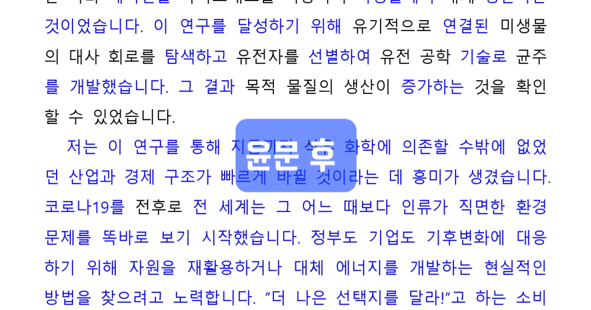 자기소개서 윤문 김보영 숨고 숨은고수