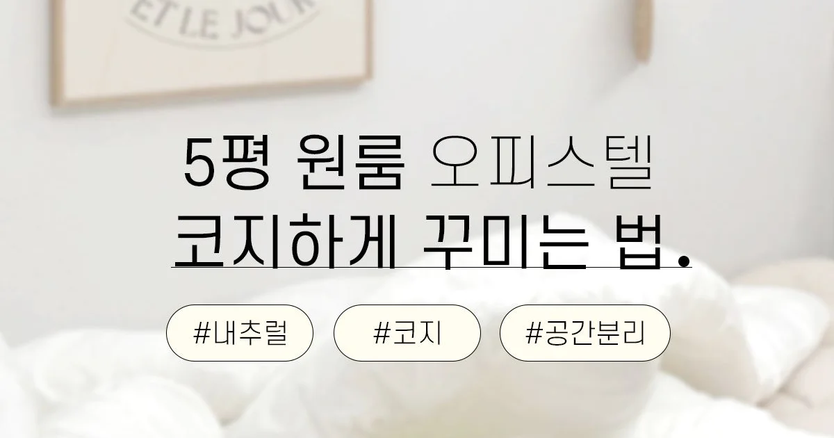 5평 원룸 오피스텔 코지하게 꾸미는 방법 코디홈 숨고 숨은고수