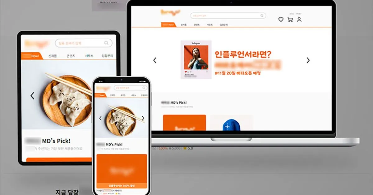 인플루언서 쇼핑몰 주식회사 레드에이트 숨고 숨은고수