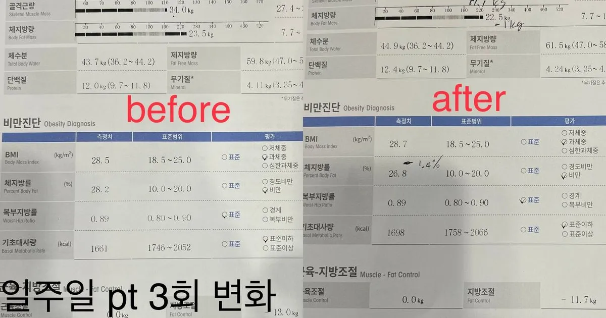 일주일pt3번 인바디 변화 정현동 숨고 숨은고수
