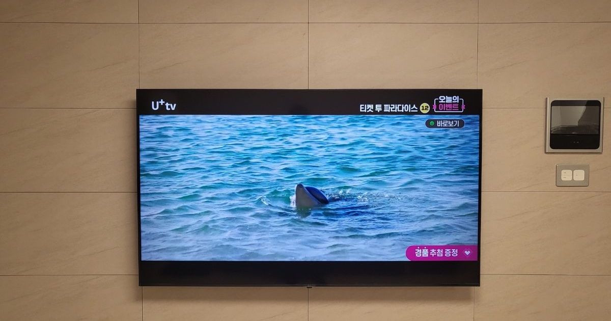 인천 벽걸이티비 매립작업 ⭐우리tv⭐ ️숨고페이 리뷰이벤트 ️ 숨고 숨은고수