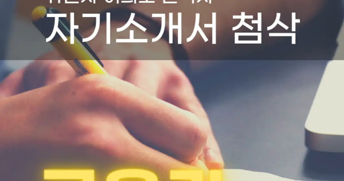 자기소개서 컨설팅 이웅진 숨고 숨은고수