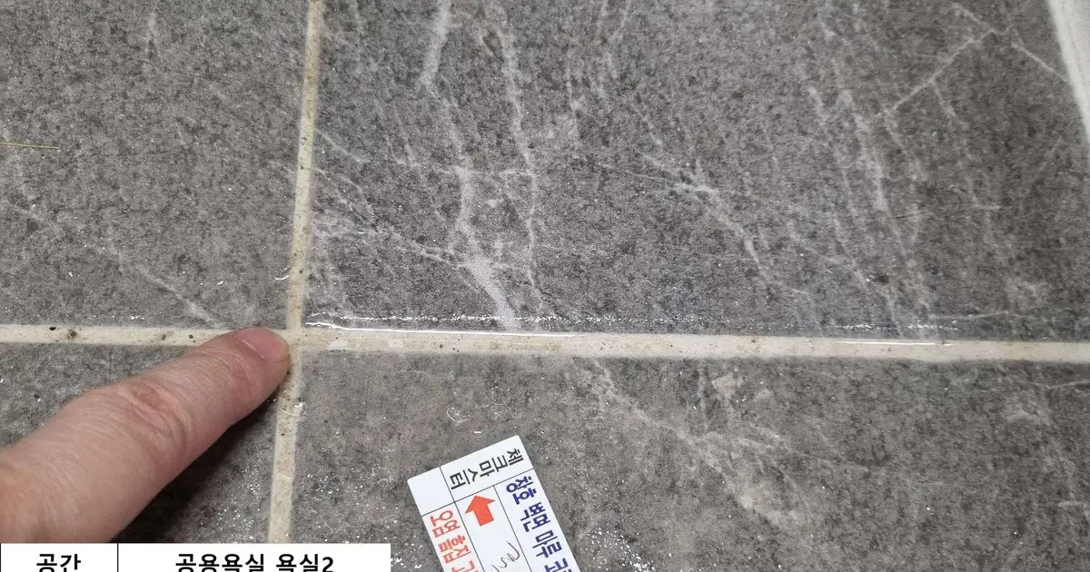 사전점검 체크마스터 점검의고수들 숨고 숨은고수
