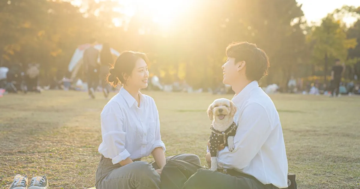 반려견과 함께 커플스냅 픽셀피트 애견스냅 숨고 숨은고수