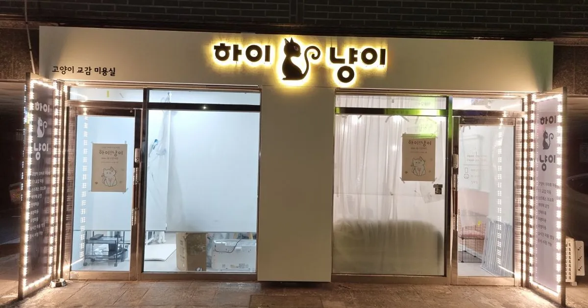 고양이 미용실 갈바간판 갈바후광 아진기업 숨고 숨은고수
