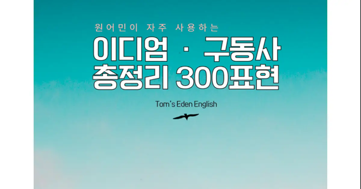 원어민이 쓰는 이디엄 구동사 300표현 박윤수 숨고 숨은고수
