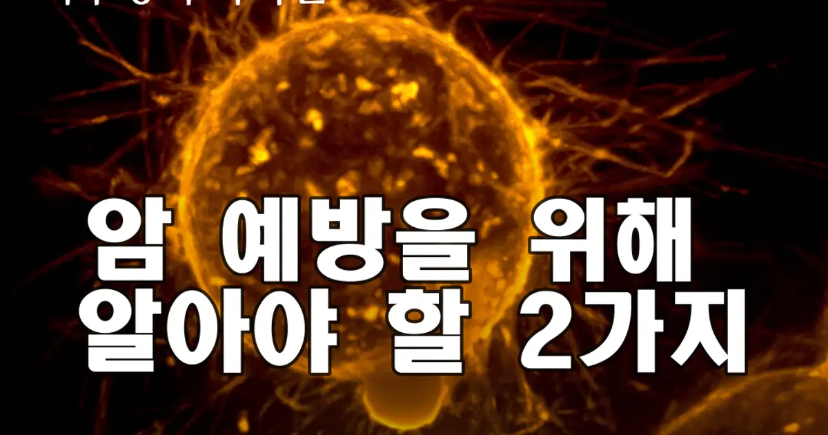 쇼츠 및 유튜브 영상 자막 제작 짱pd 숨고 숨은고수