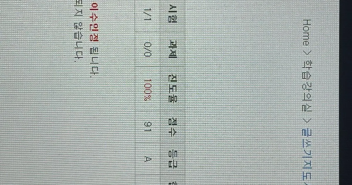 글쓰기 지도사 자격증 보유 양예리 숨고 숨은고수