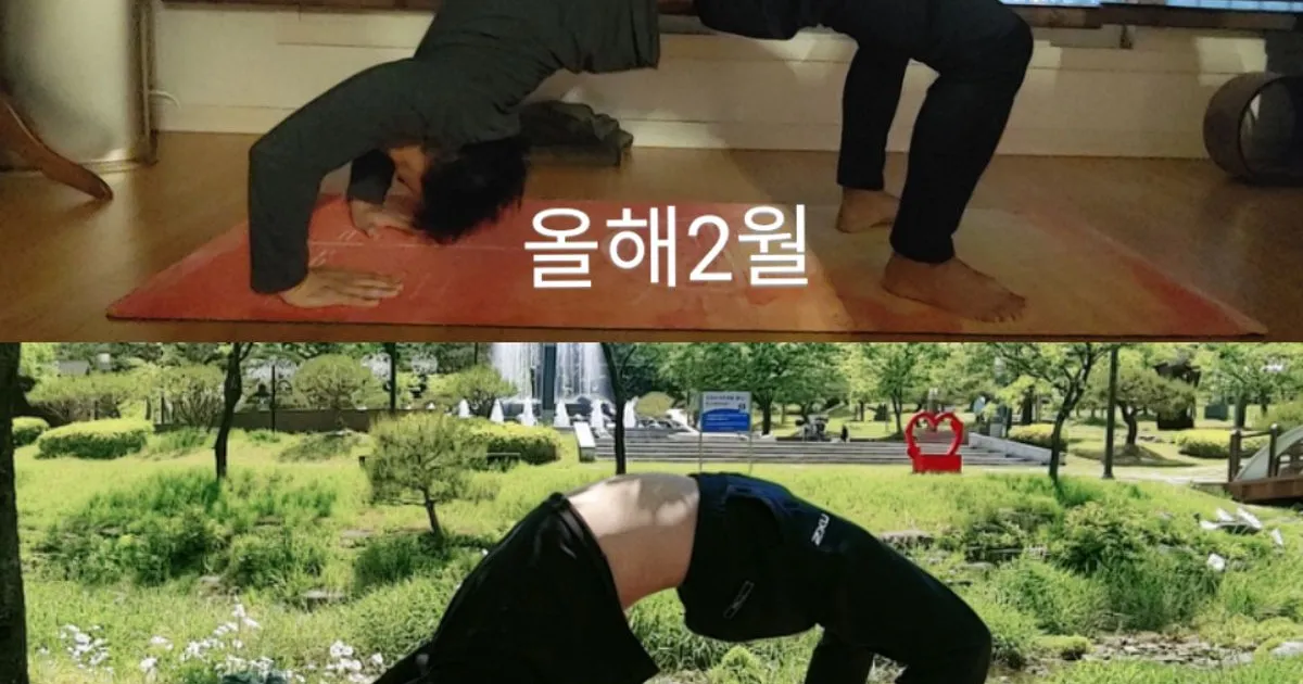 요가를 처음배우시거나 뻣뻣하신분 환영 정윤정 숨고 숨은고수
