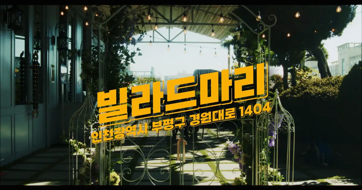 241026 빌라드마리 제임스빵 숨고 숨은고수