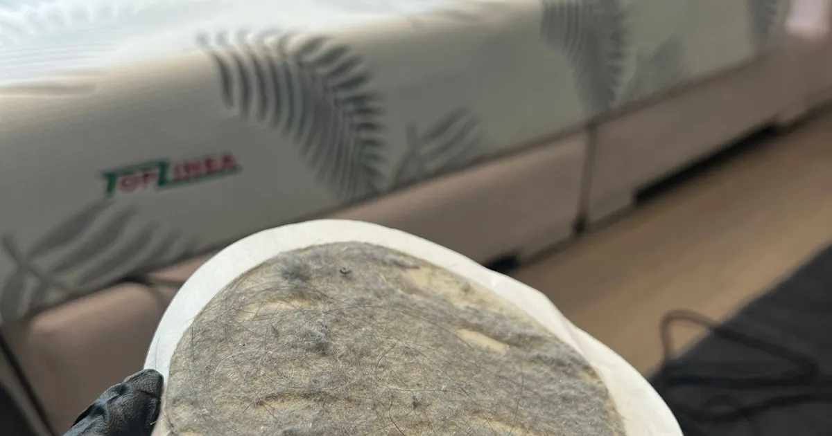 침대매트리스 전문업체에 문의하세요 티미클린케어 가구 전문클리닝 숨고 숨은고수