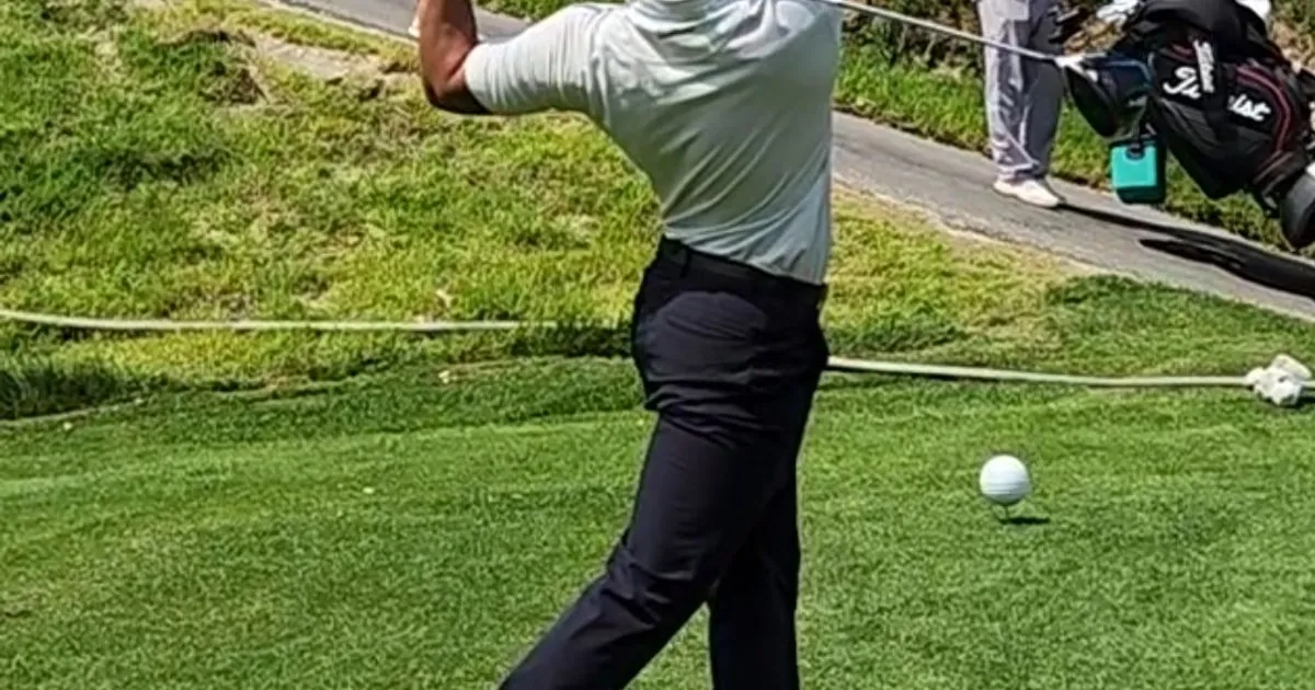 프로필 및 골프스윙 박현우 숨고 숨은고수