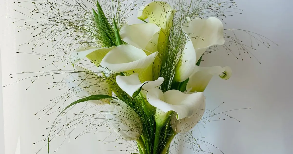 화이트카라 그리너리부케 아뜰리에블룸 숨고 숨은고수