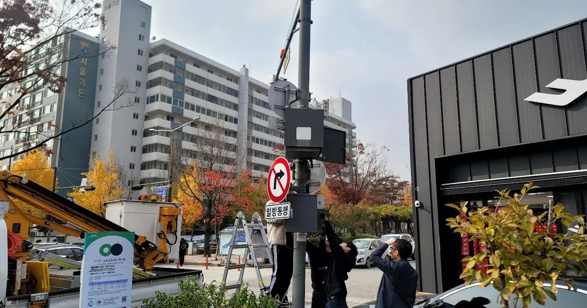 인공지능 Cctv 통행량측정 계수기 주블랙썬 숨고 숨은고수