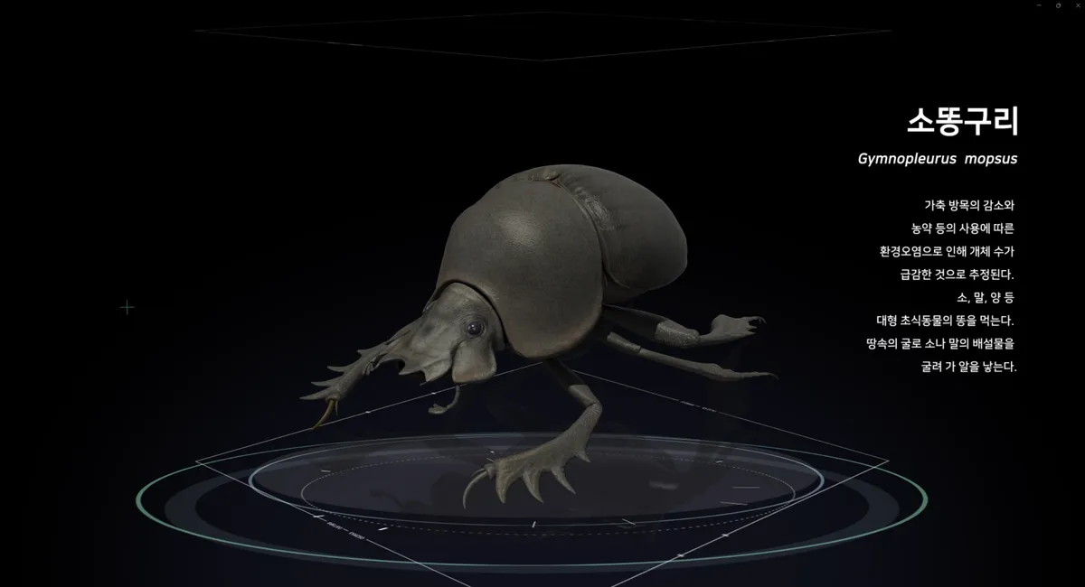 의령 곤충박물관 멸종 위기종 홀로그램 3d 영상 제작 넛츠 숨고 숨은고수