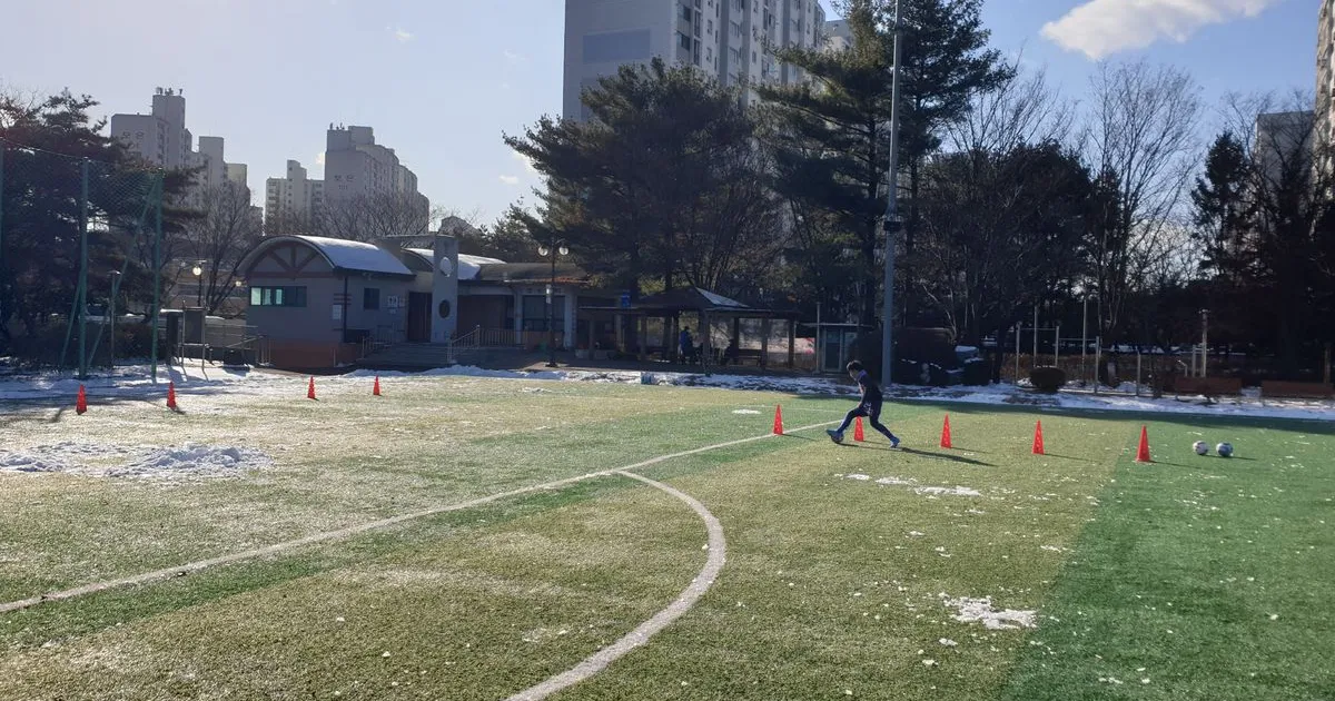 레슨 드리블훈련 및 볼감각훈련 민성 숨고 숨은고수