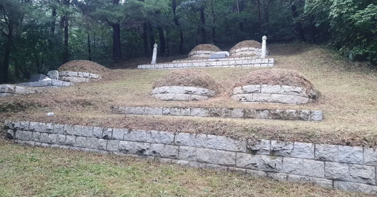 벌초작업 벌초맨 숨고 숨은고수