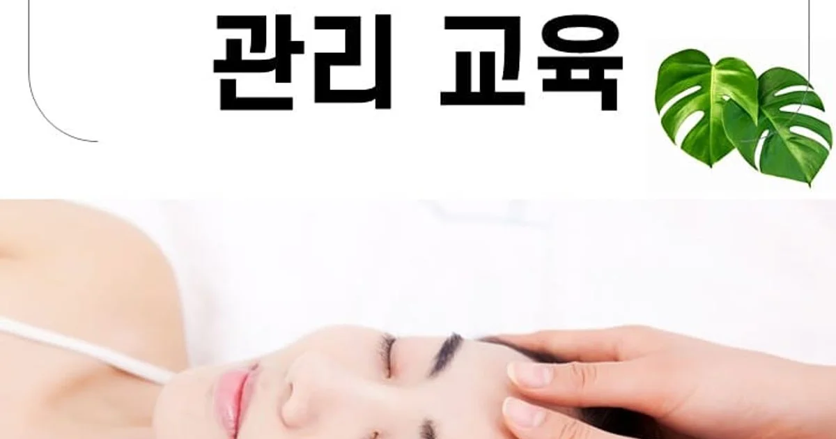두피 커리큘럼뇌파촉진 마사지 이미영 숨고 숨은고수