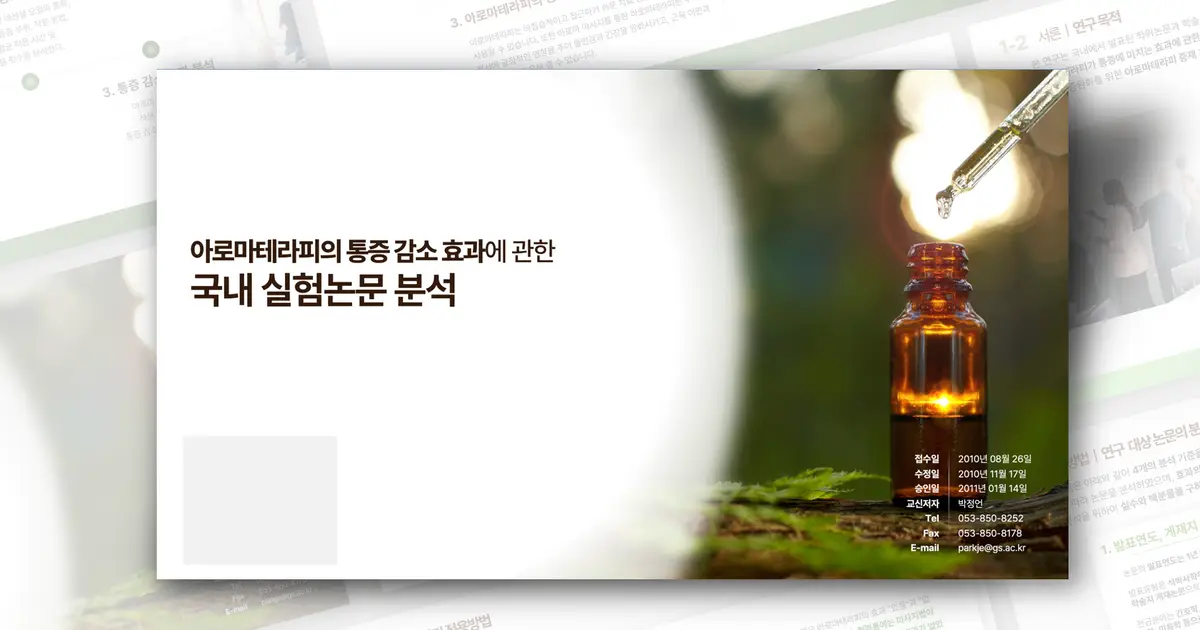 논문 분석 및 기획 작업 정확도 높은 챗gpt 활용 포코디자인 Ppt 숨고 숨은고수