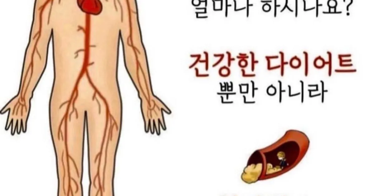 90일간 식단관리를 텅한 체중조절 권희선 숨고 숨은고수