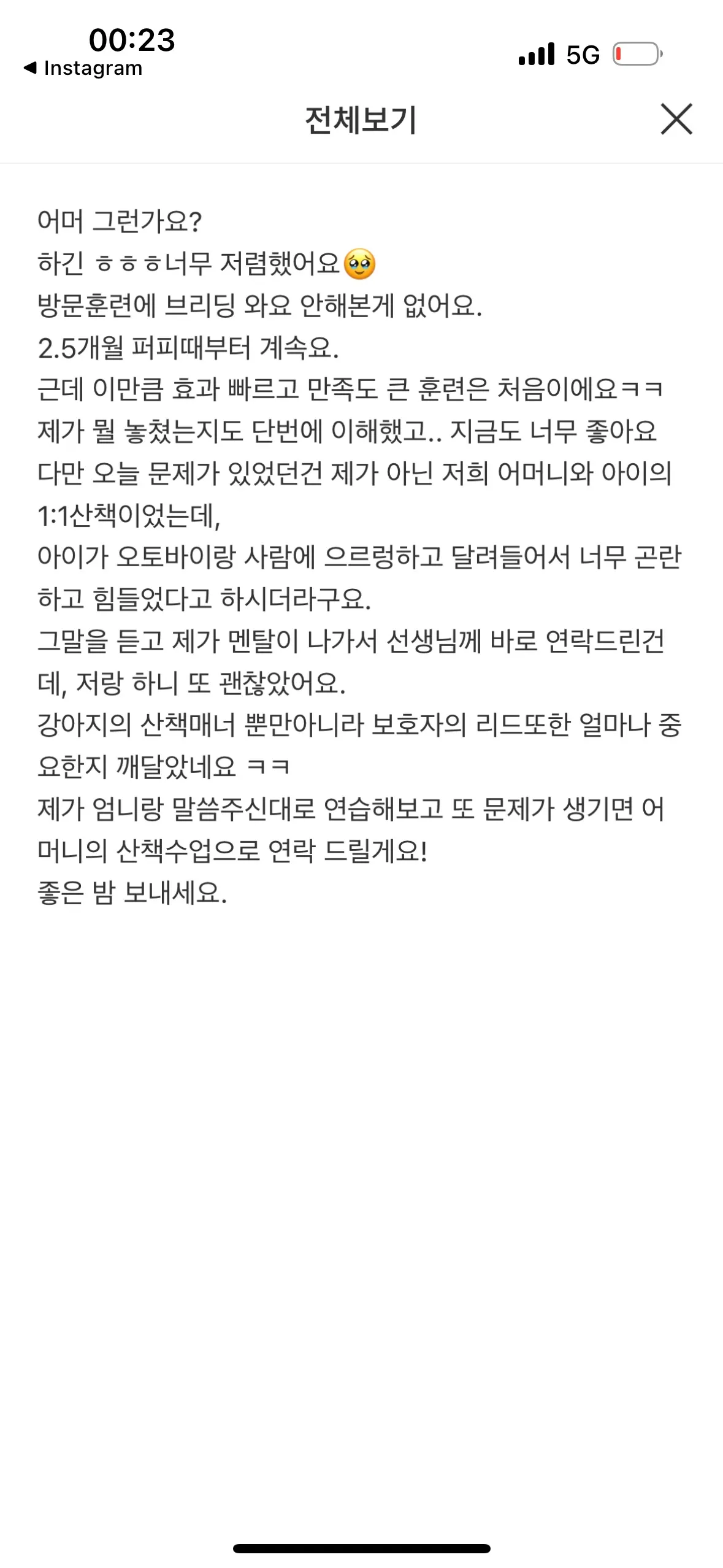 반려견 산책교육짖음 달려듬 후기 🙌 유정호 숨고 숨은고수