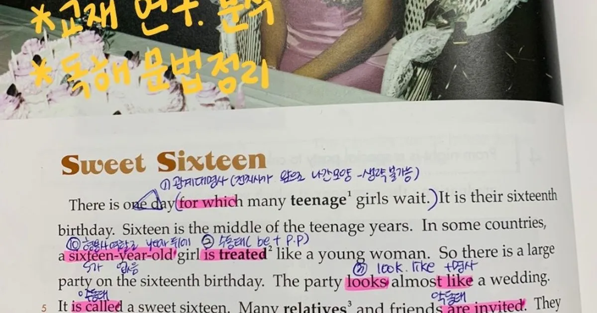 독해 분석 김가영 숨고 숨은고수