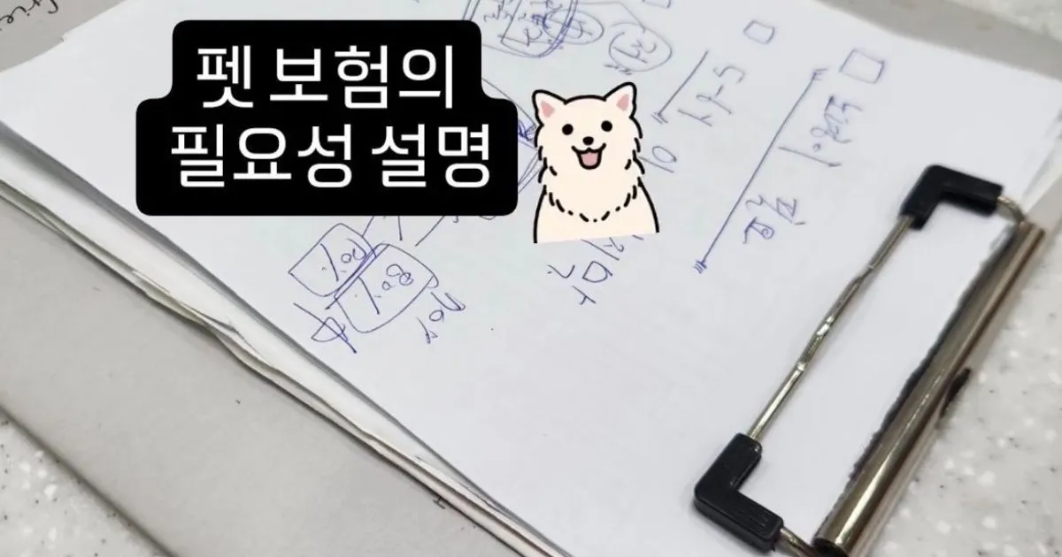 반려견묘 도 우리의 가족 조안나 숨고 숨은고수