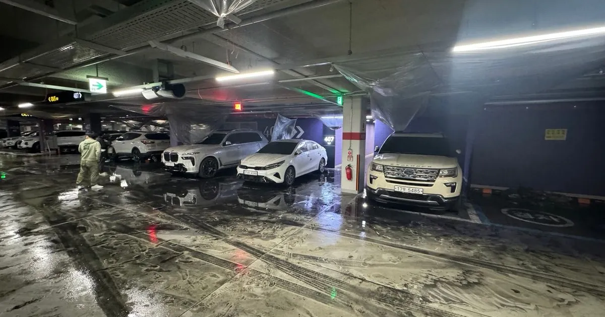 군산 더샵 지하주차장 전체 화재청소 아름다운 동행 숨고 숨은고수