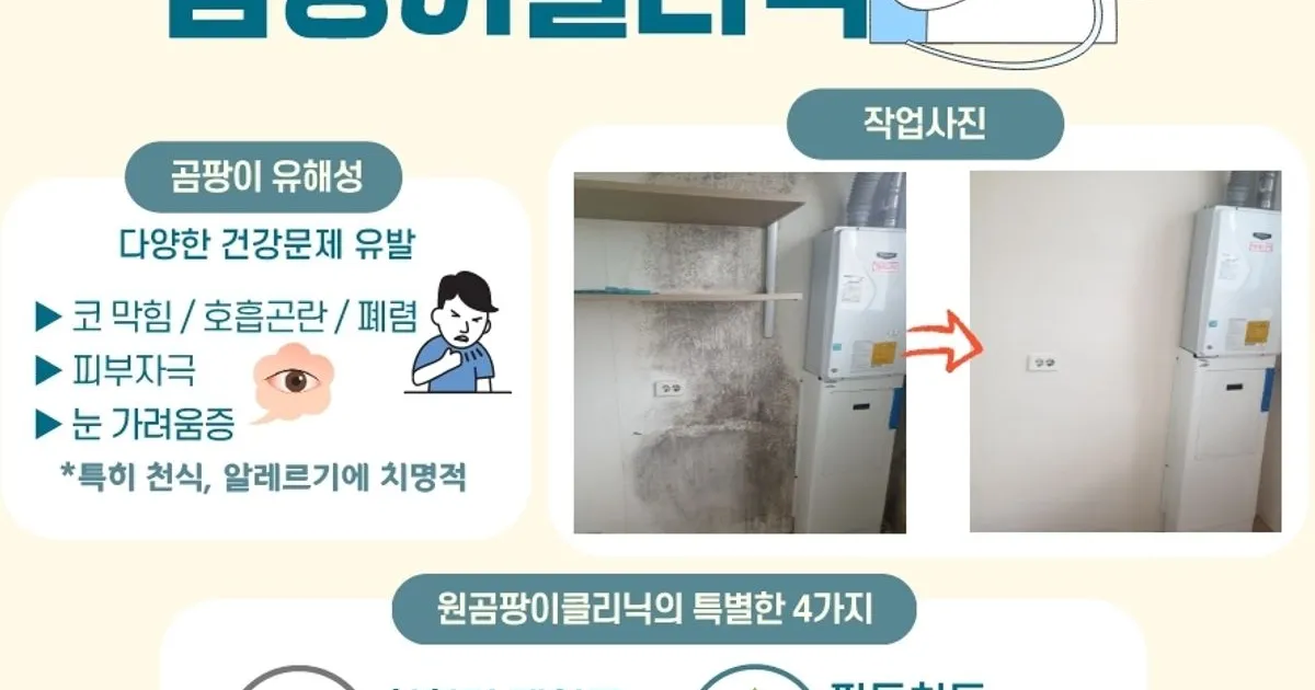 아파트 베란다 곰팡이 제거 및 곰팡이 방지 페인트 시공 원곰팡이클리닉박재원 숨고 숨은고수
