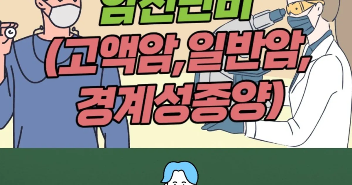 백혈병 암진단비 보상사례 최원정 숨고 숨은고수