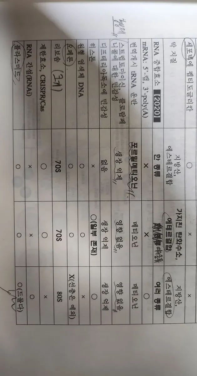 생명과학 과외 서강원 숨고 숨은고수