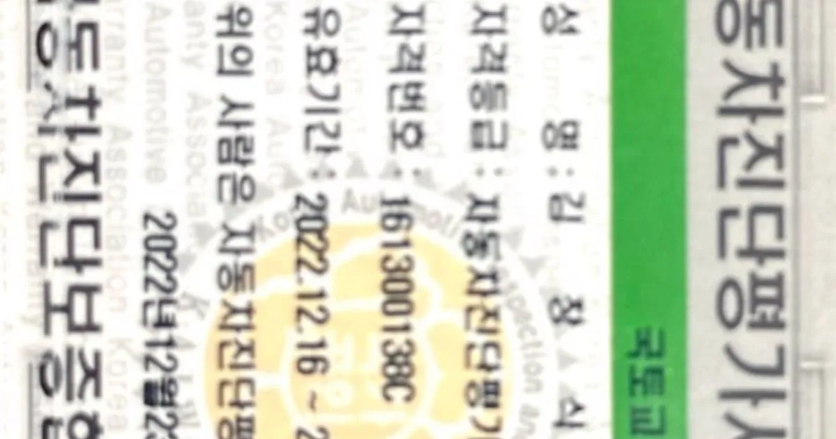 자동자 진단평가 중고차 구매 동행 김창식 숨고 숨은고수
