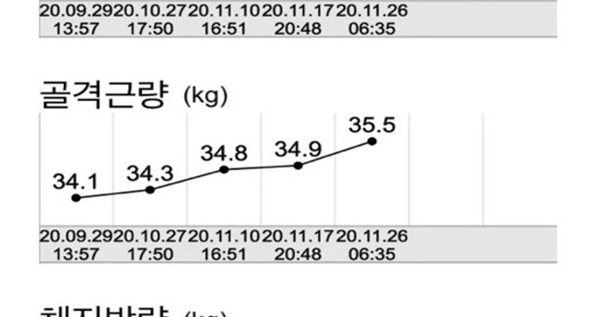근력증가 및 다이어트 강승진 숨고 숨은고수