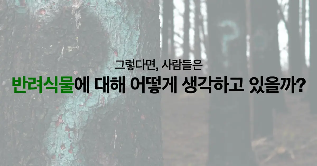패키지 리디자인 And Ppt 디자인 오규식 숨고 숨은고수