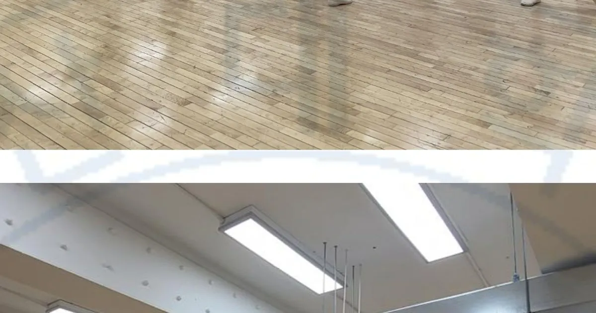논문결과 도출을 위한 프로그램을 적용한 발레수업 윤yoonユン 숨고 숨은고수
