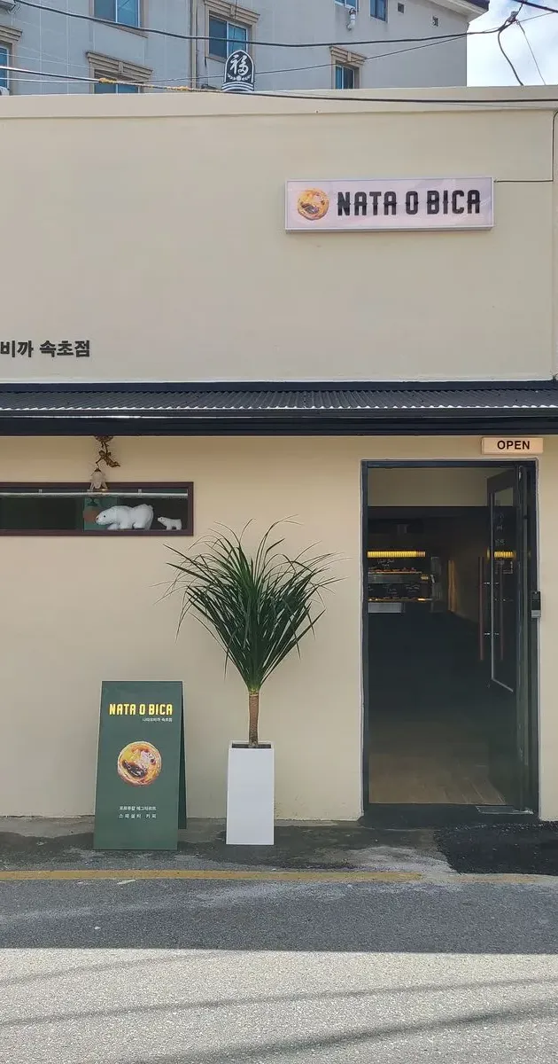 속초 나따오비까 체인점 간판 제작시공 속초no1 디자인팩토리 숨고 숨은고수