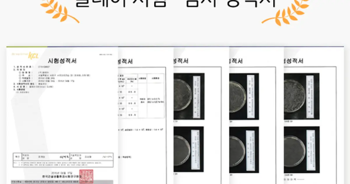 새집증후군 제거시험성적서 및 제품인증서 클린아빠브랜드만족도1위디테일입주청소상가외창청소 숨고 숨은고수