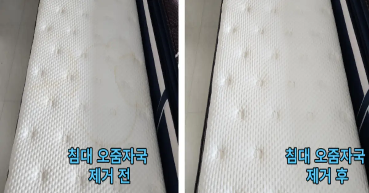 침대매트리스 아기오줌자국 제거 하이클린청소 숨고 숨은고수