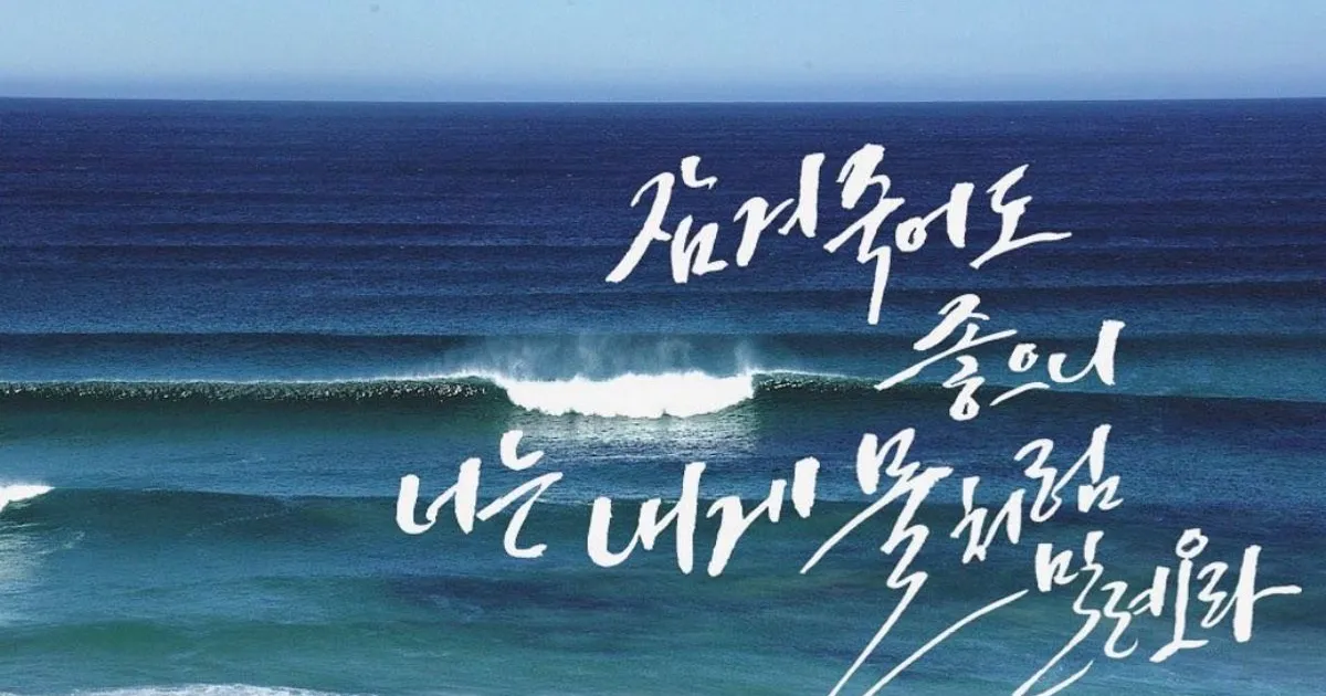 캘리그라피 포트폴리오 박경아 숨고 숨은고수