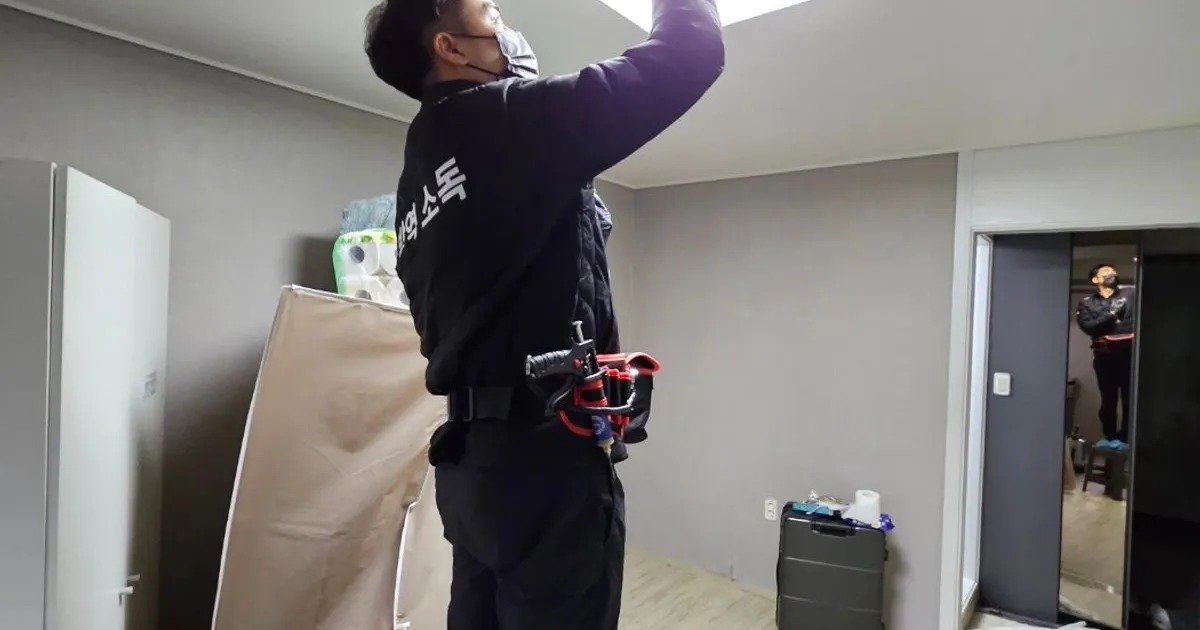 해충케어 바퀴벌레 화성씨엔에스 환경주 숨고 숨은고수