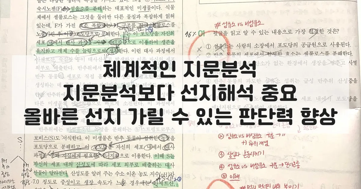 고2 여학생 수업자료 김민정 숨고 숨은고수
