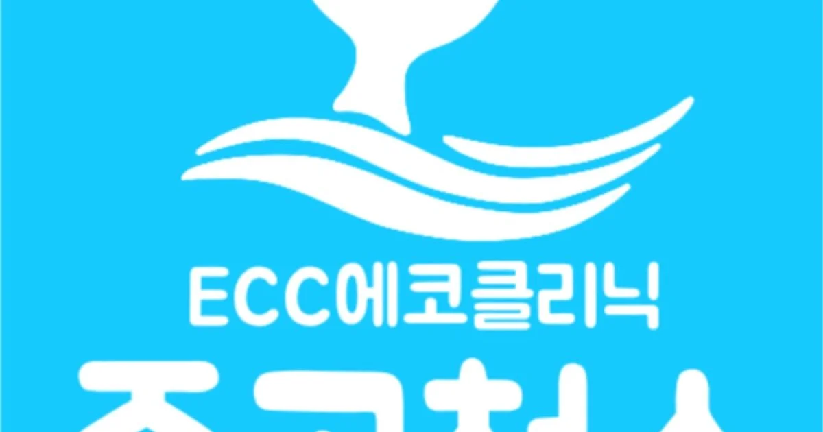 빌라 준공 청소 에코클리닉 숨고 숨은고수