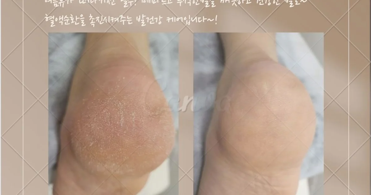 패디플래닝 김주은 숨고 숨은고수